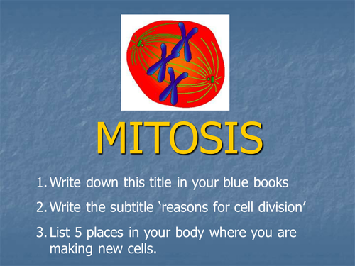 Mitosis lesson | Teaching Resources
