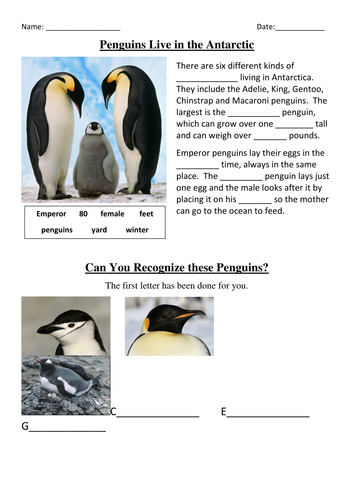 Antarctic Habitats and Animals | Teaching Resources