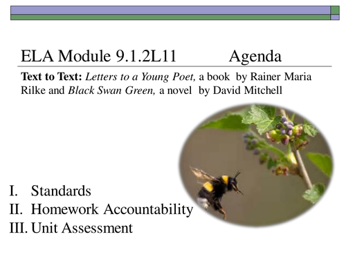 ELA 9 Module 1.2 Reading Closely & Writing | Teaching Resources
