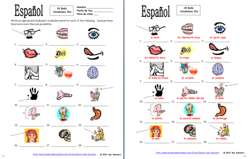 Spanish Vocabulary IDs - Bundle of 40 Worksheets Totaling 720 Words ...