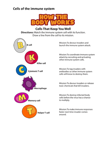 AQA Immunity lesson 3 | Teaching Resources