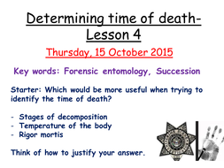 Determining time of death | Teaching Resources