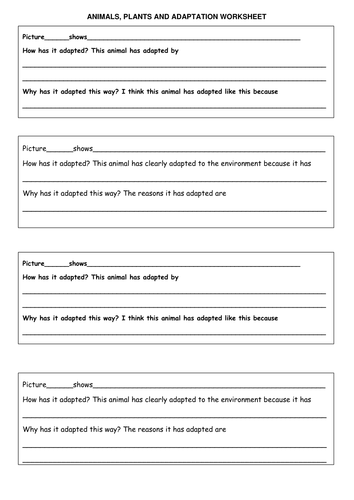 Animal Adaptation and Ecosystems | Teaching Resources