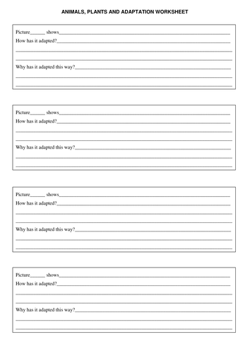 Animal Adaptation and Ecosystems | Teaching Resources
