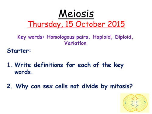 Meiosis | Teaching Resources