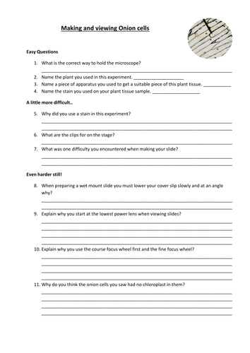 Making Onion Cell Slides | Teaching Resources