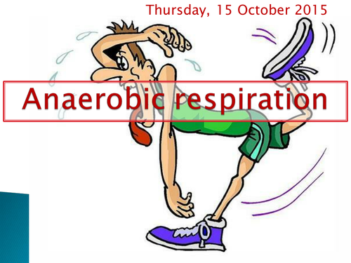 Anaerobic respiration | Teaching Resources