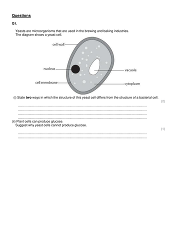 B2 Edexcel Additional Topic 1 Intervention Pack | Teaching Resources