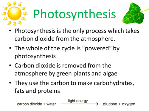 What is the carbon cycle? | Teaching Resources
