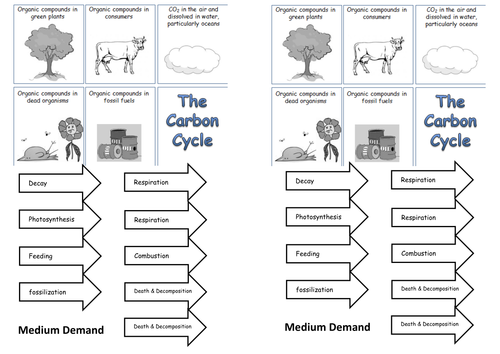 What is the carbon cycle? | Teaching Resources