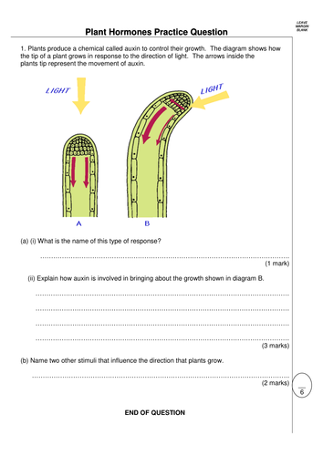 How is plant growth controlled? (Plant Hormones) | Teaching Resources