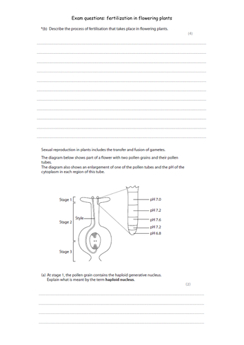 Revision- plant fertilization and mammalian gametes | Teaching Resources