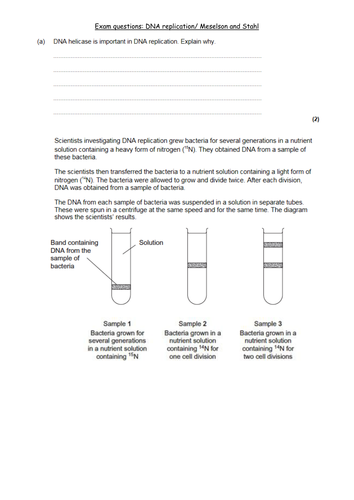 Revision on DNA structure and replication | Teaching Resources
