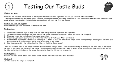 Senses Experiments and Worksheets | Teaching Resources