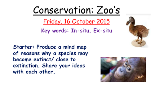 Zoo's and conservation | Teaching Resources