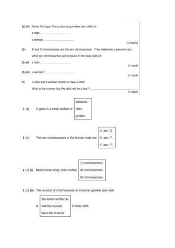 Introduction to DNA | Teaching Resources
