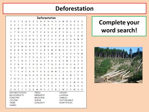 Deforestation debate | Teaching Resources