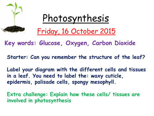 Intro to photosynthesis AQA B2 | Teaching Resources