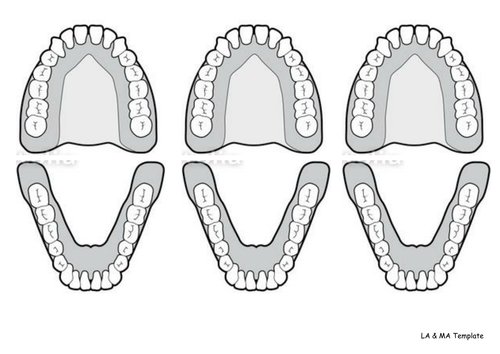 Year 4 Science: Digestion and Teeth | Teaching Resources