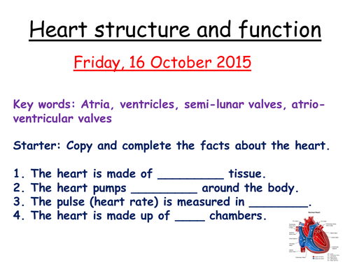 AQA B3 Heart structure and function | Teaching Resources