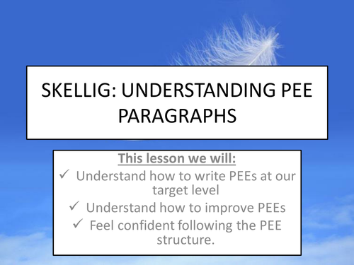 Skellig Year 7 Lessons | Teaching Resources