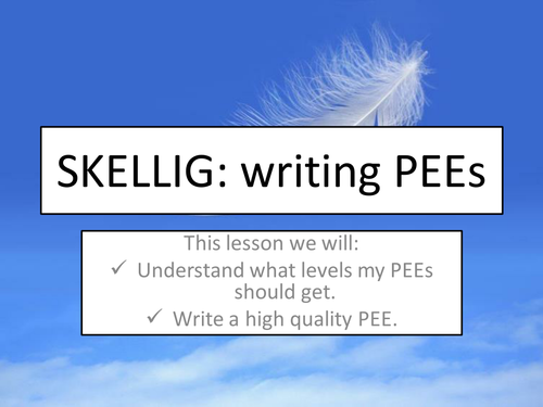 Skellig SOW | Teaching Resources