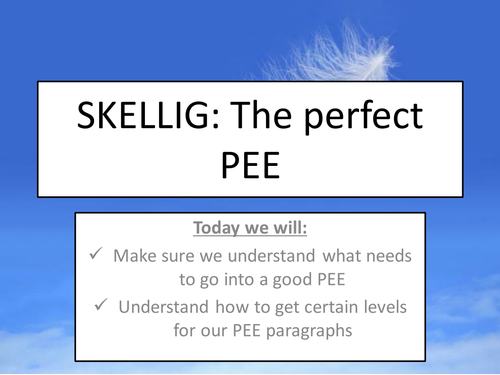 Skellig SOW | Teaching Resources