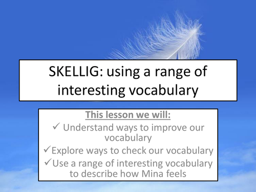 Skellig SOW | Teaching Resources