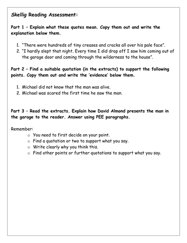 Reading Assessment for 'Skellig' (PEE based) | Teaching Resources