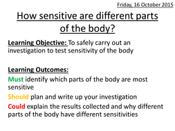 How sensitive are different parts of the body? | Teaching Resources