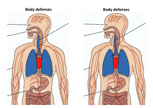 How do we protect ourselves against disease? | Teaching Resources