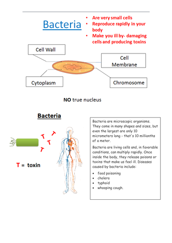 What are pathogens? | Teaching Resources