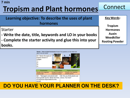 Uses of Plant Hormones Full Lesson | Teaching Resources