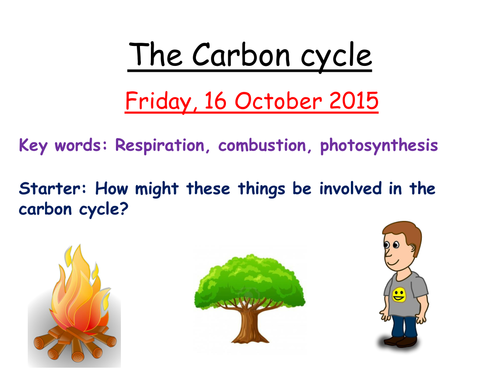 Carbon cycle | Teaching Resources