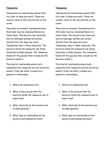 Chemosynthesis | Teaching Resources