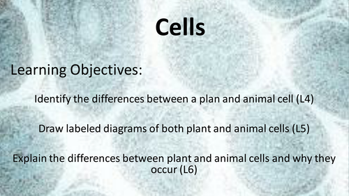 Introduction to KS3 cells | Teaching Resources