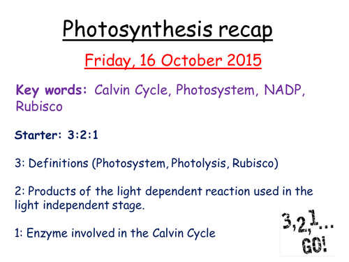 Photosynthesis Review task | Teaching Resources