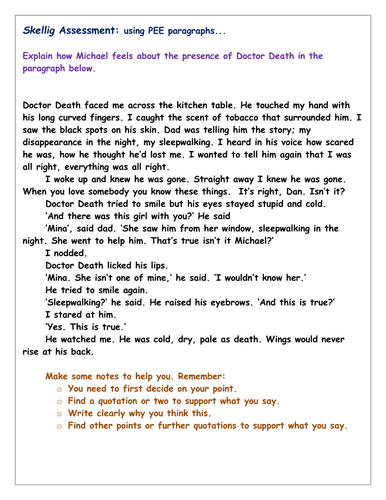 Skellig Reading Assessment | Teaching Resources