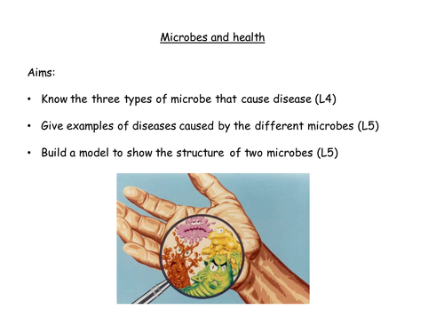 Introduction to microbes including making models | Teaching Resources