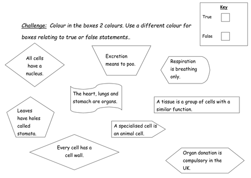 Cells - characteristics of life | Teaching Resources