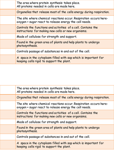 Plant and animal cells (B2 Edexcel) | Teaching Resources