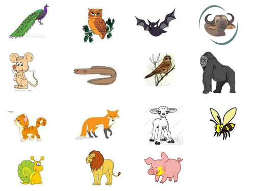 Animal Farm | Teaching Resources