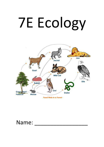 7C Ecology for SEN | Teaching Resources