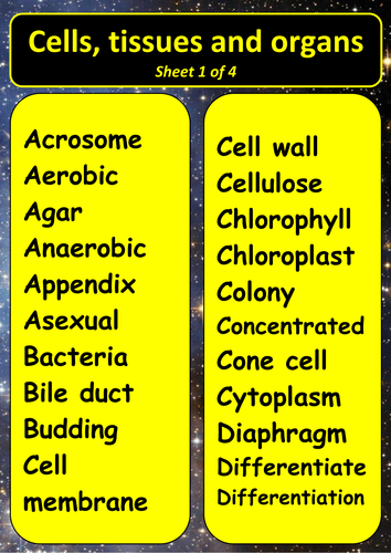 STAR charts - science key words | Teaching Resources
