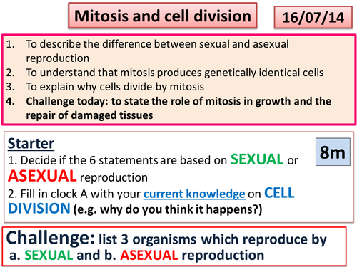Mitosis and cell division | Teaching Resources