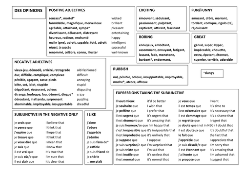 giving opinions in French at KS4 | Teaching Resources