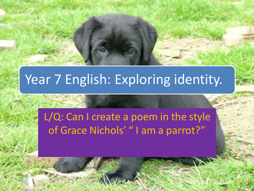 EXPLORING IDENTITY IN POETRY I am a parrot | Teaching Resources