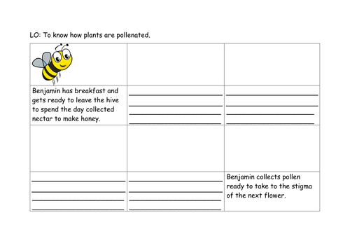 Bees pollenating flowers | Teaching Resources