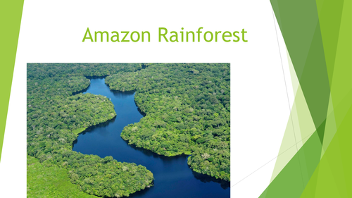 Amazon rainforest and deforestation | Teaching Resources
