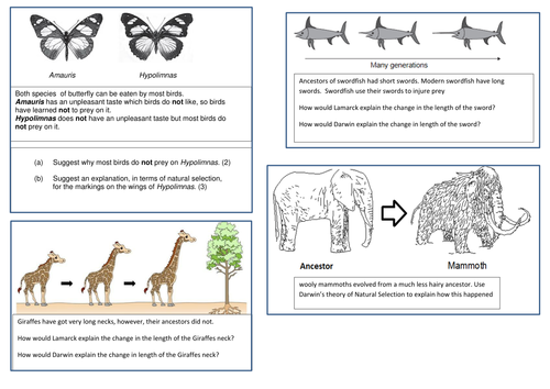AQA evolution Darwin and Lamarck | Teaching Resources
